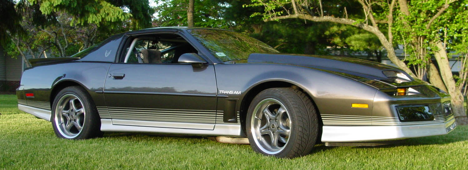 New to the board - '84 Trans Am from central Michigan