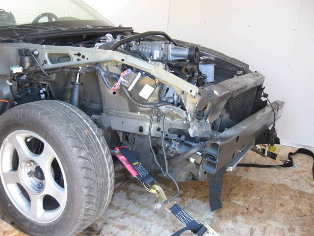 picked up the wrecked 03 cobra...