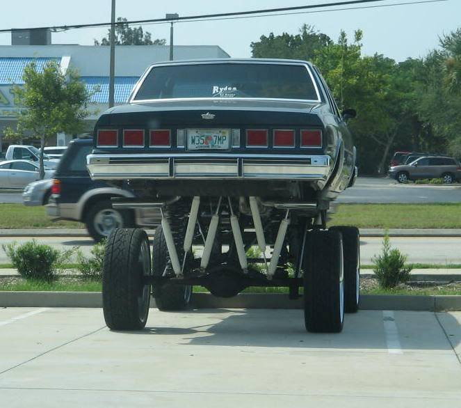 Introducing...The RedNeck DONK!!