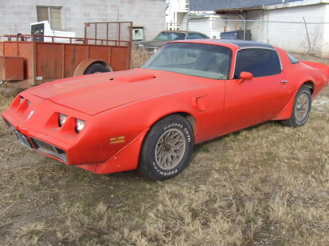 New project new forum 81 Trans Am