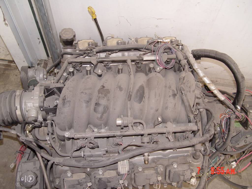 Looking to clean up the engine bay