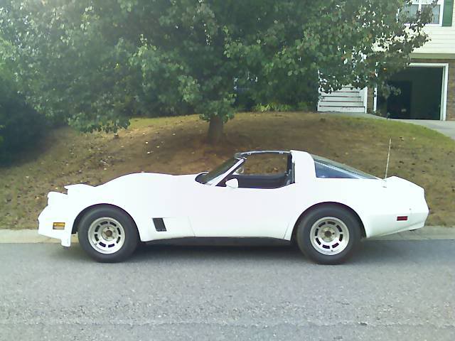 81 Corvette PT Project