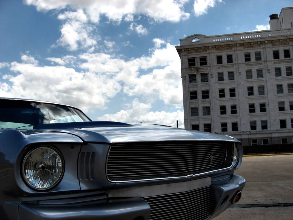 Finished pics of the 65 stang