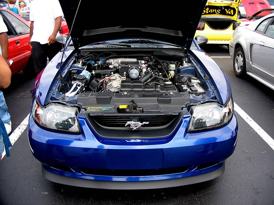 Lets see the 'Stangs - Page 7