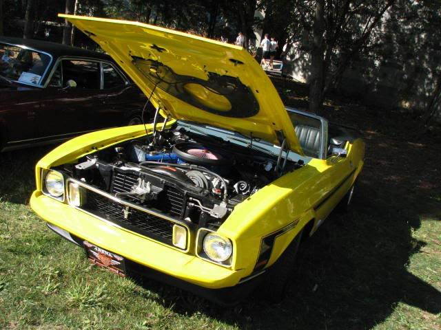 Oct 12 th Columbus Ohio Zoo Car Show