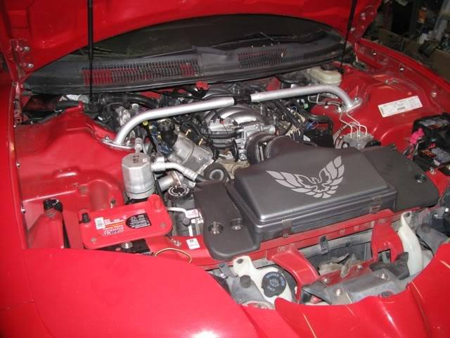 Carolina Road Hugger - my 98 Trans Am build