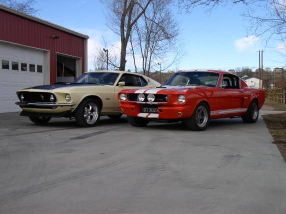 Lets see the 'Stangs - Page 10