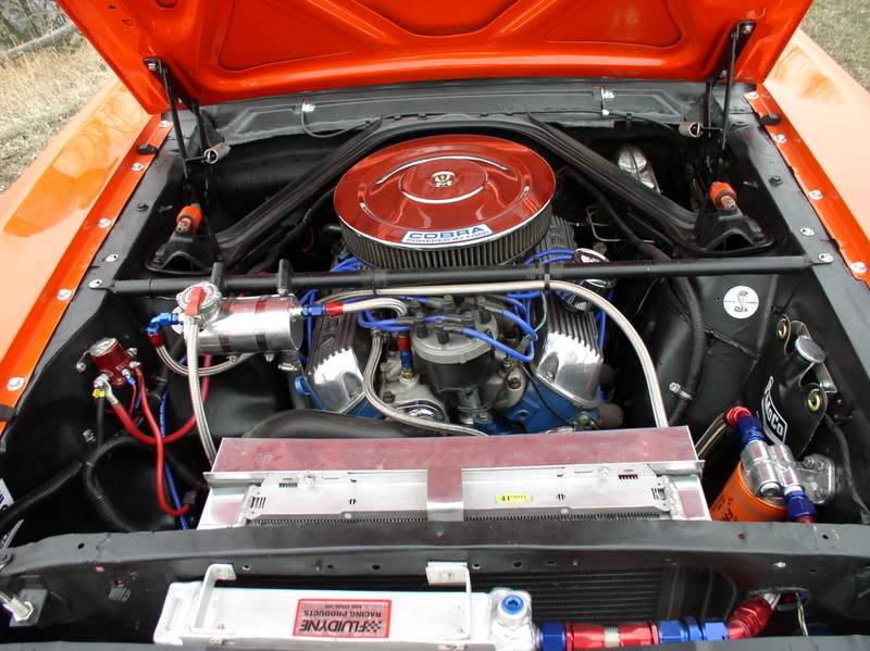 Lets see the 'Stangs - Page 10