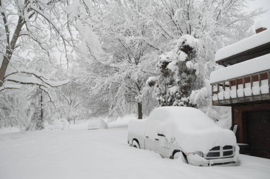 2010 Snow storm pics - Page 2