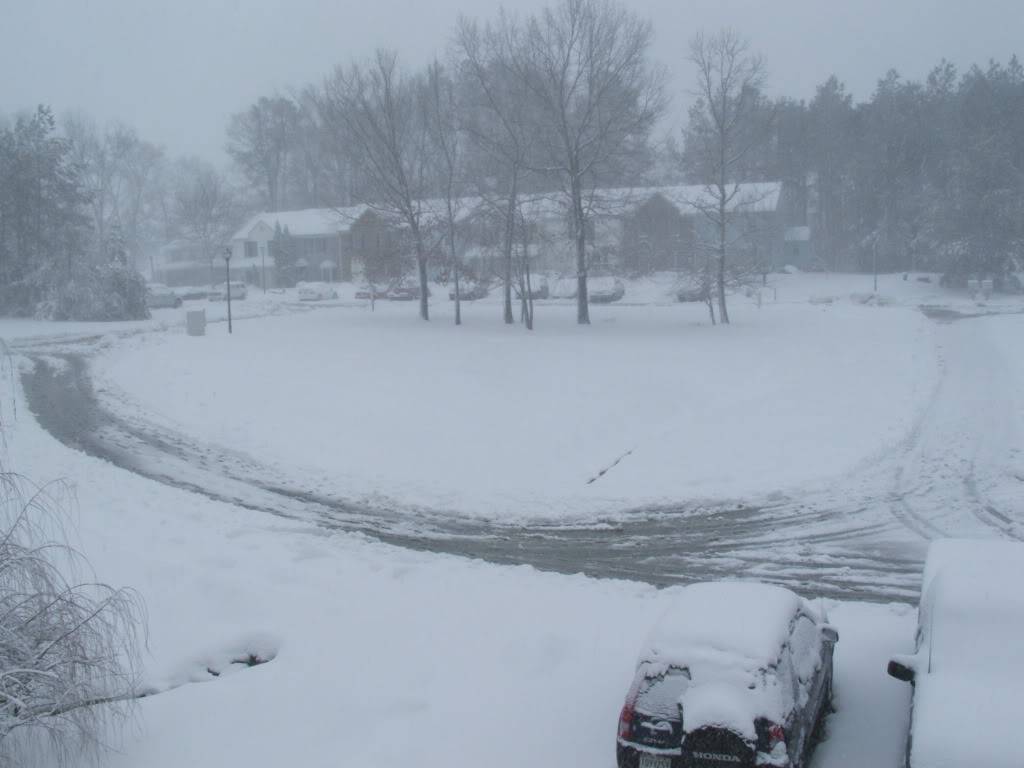 2010 Snow storm pics