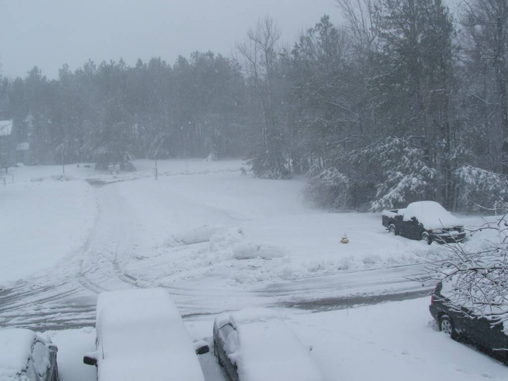 2010 Snow storm pics