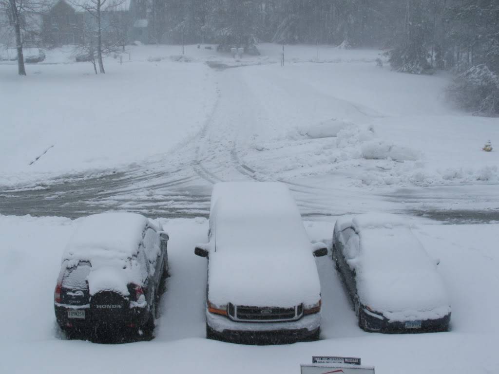 2010 Snow storm pics