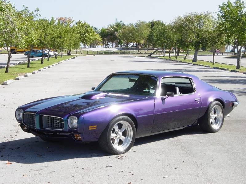 1973 Firebird plain hood trade for Trans Am hood