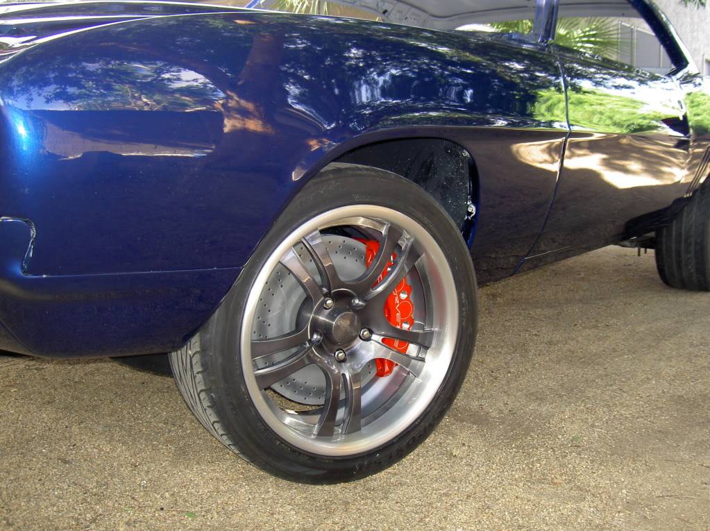 Random Rushforth beauty shots