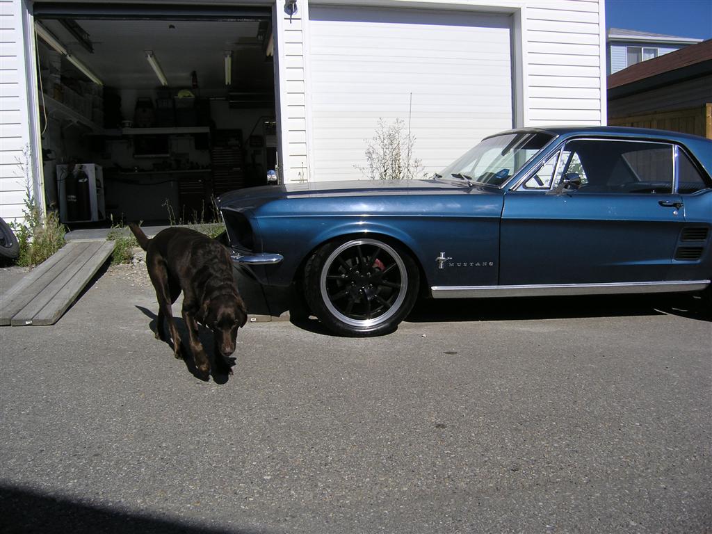 best GARAGE SHOT. - Page 8