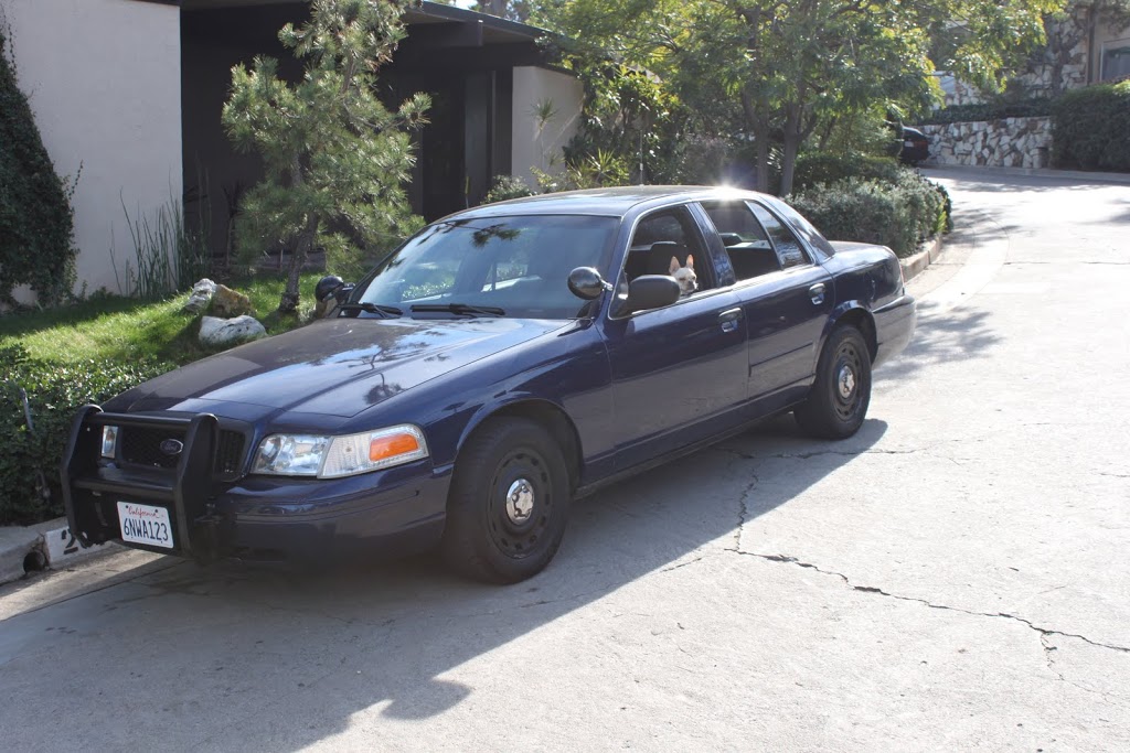 New Daily Driver - P71 Crown Vic Detective car