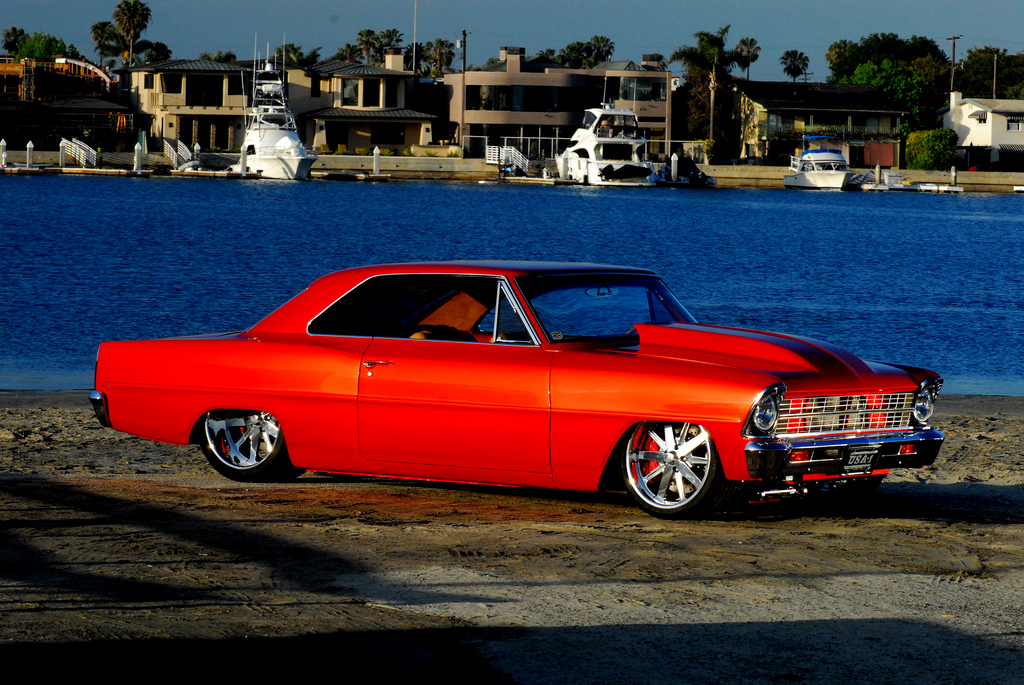 !!lets See All The Novas!!! - Page 21