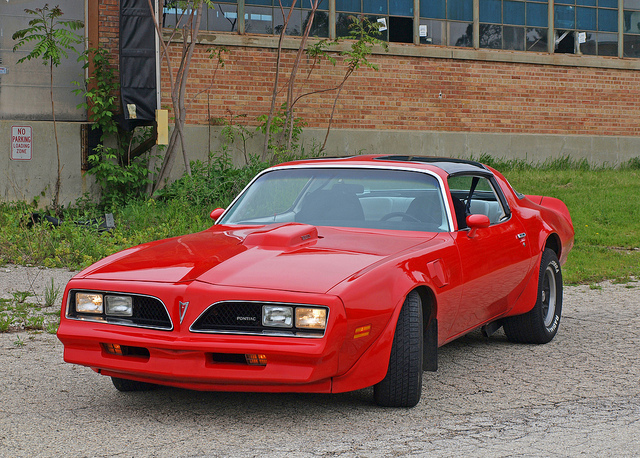 Lets see all the trans am out there!!!!!!!!!!!!!!