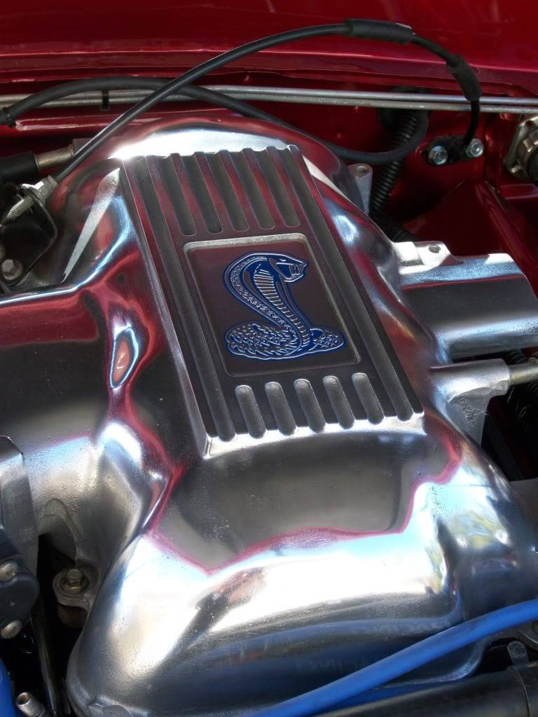 Lets see the 'Stangs - Page 20