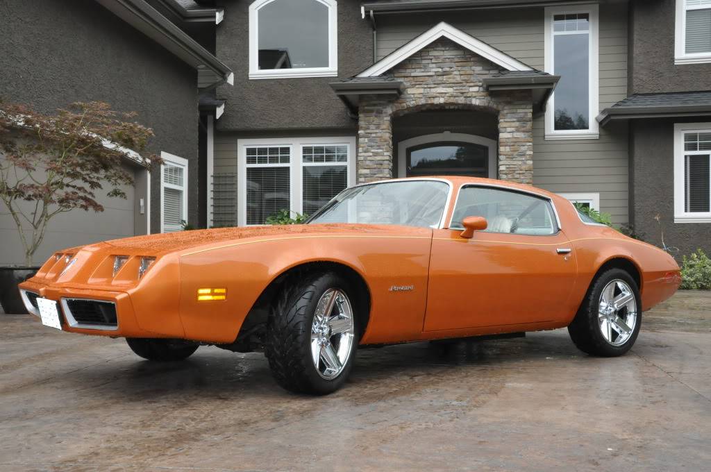 !!Let's see those Firebirds!! - Page 19