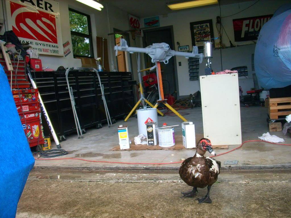 81 Malibu "Uncaged" Performance Therapy project thread - Page 5