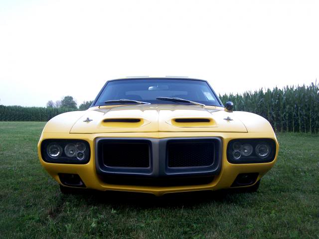 1969 Firebird "wild turkey"