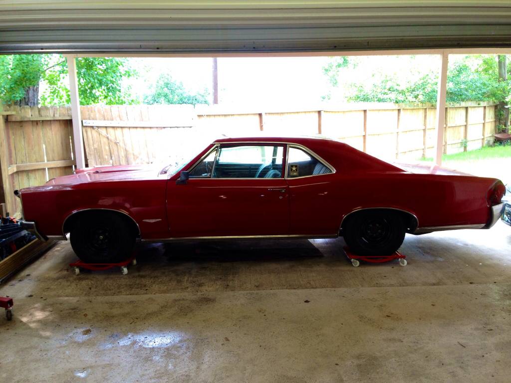 66 Goat project