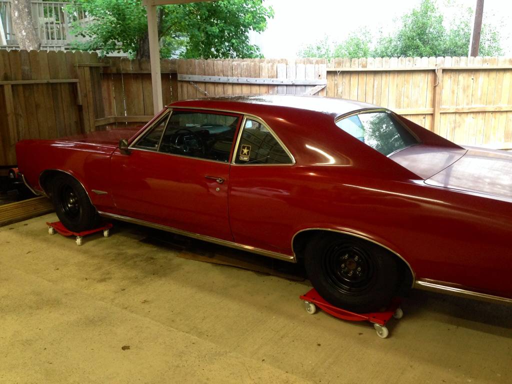 66 Goat project