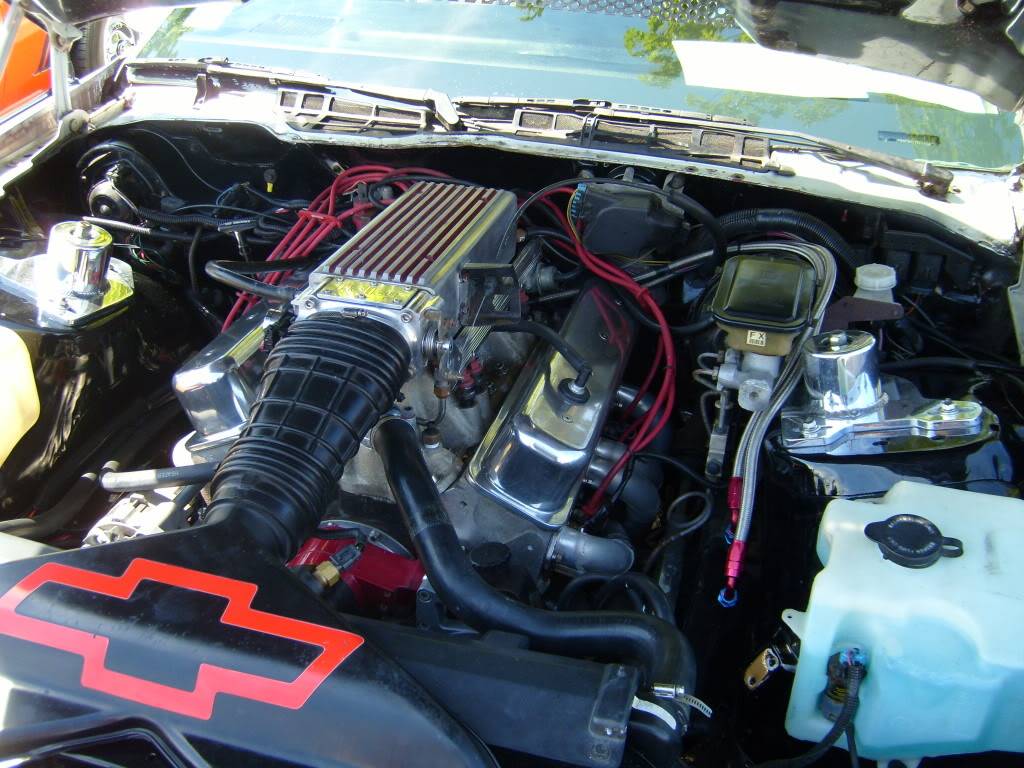 383 EFI engine with FAST stand alone system.