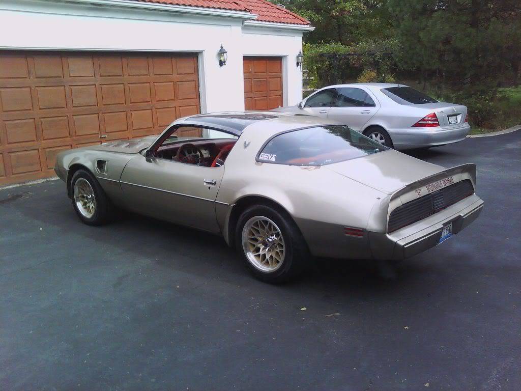 17x9 Year One Snowflakes