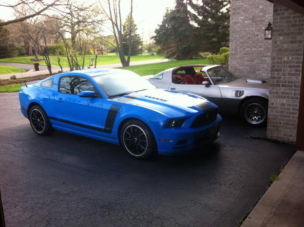 17x9 Year One Snowflakes