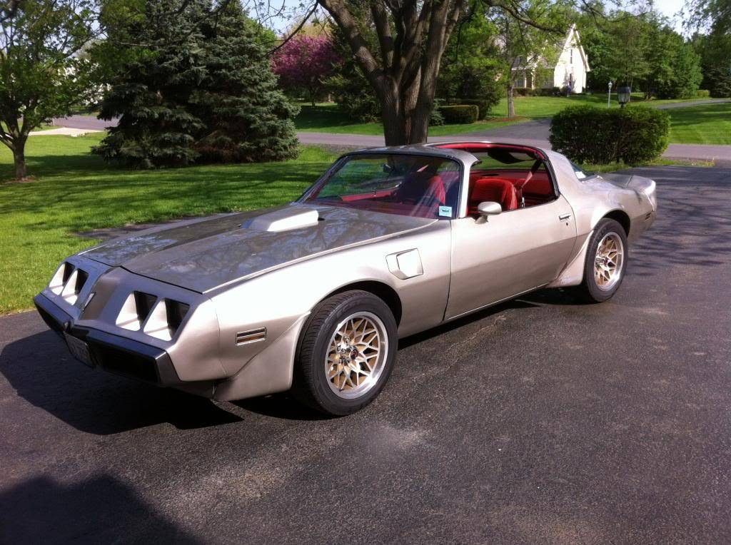 17x9 Year One Snowflakes