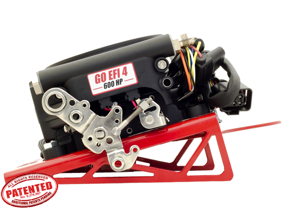 BLACK FRIDAY NOW! FiTech EFI Systems and LS Kits